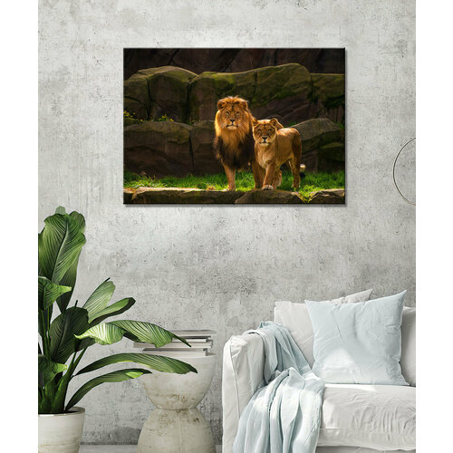 Картина - Лев, лев царь зверей, лев и львица, пара львов (24) 50х70