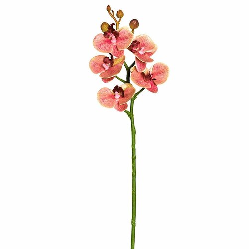 Искусственный цветок Fiebiger Floristik - Орхидея, розовая, 46 см, 1 шт