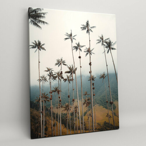 Картина на холсте (интерьерный постер) "Южные пальмы" пейзажи, с деревянным подрамником, размер 45x60 см