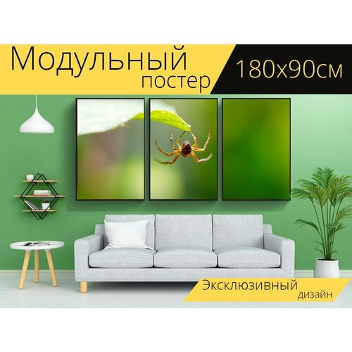 Модульный постер "Паук, насекомое, природа" 180 x 90 см. для интерьера