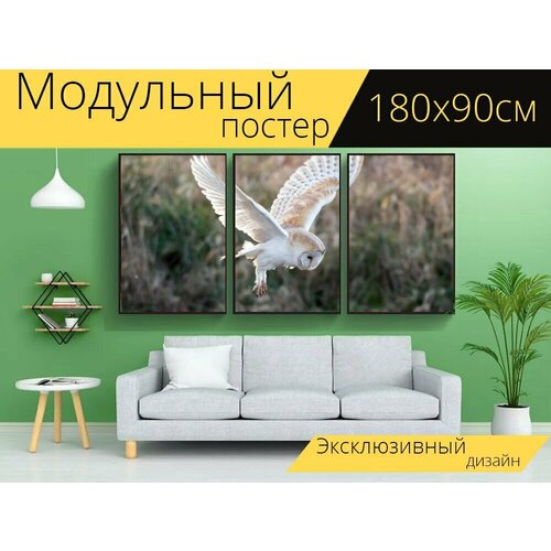 Модульный постер "Сова, птица, природа" 180 x 90 см. для интерьера