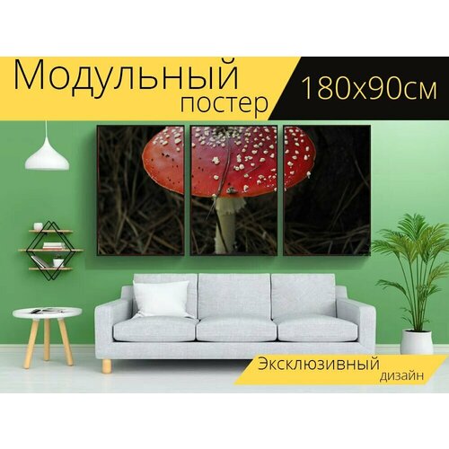 Модульный постер "Лес, грибок, свежий" 180 x 90 см. для интерьера