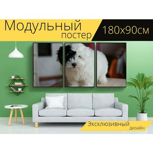 Модульный постер "Собака, щенок, белая собака" 180 x 90 см. для интерьера
