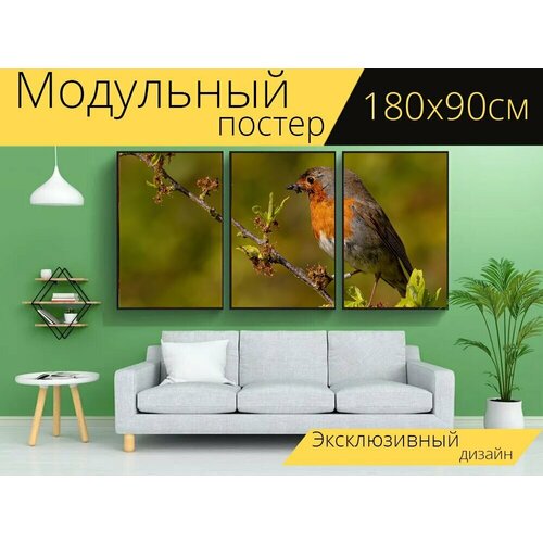 Модульный постер "Робин, птица, филиал" 180 x 90 см. для интерьера