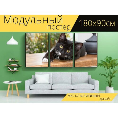 Модульный постер "Кот, кошка, коты" 180 x 90 см. для интерьера