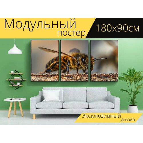 Модульный постер "Насекомое, пчела, медовый" 180 x 90 см. для интерьера