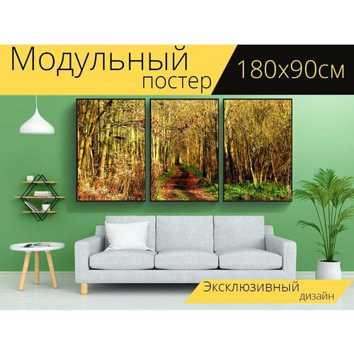 Модульный постер "Лес, парк, путь" 180 x 90 см. для интерьера