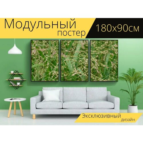 Модульный постер "Дрожащая трава, трава, средняя дрожащая трава" 180 x 90 см. для интерьера