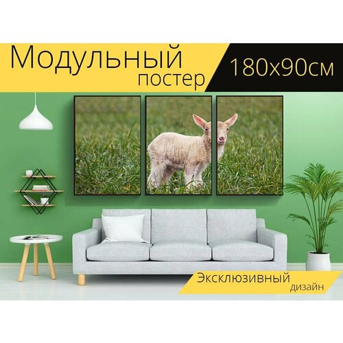 Модульный постер "Пасха, животное, овец" 180 x 90 см. для интерьера