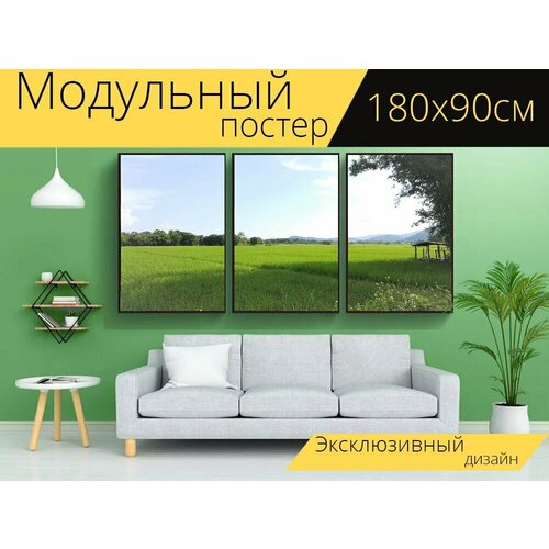 Модульный постер "Заливное поле, рисовые поля, зеленый" 180 x 90 см. для интерьера