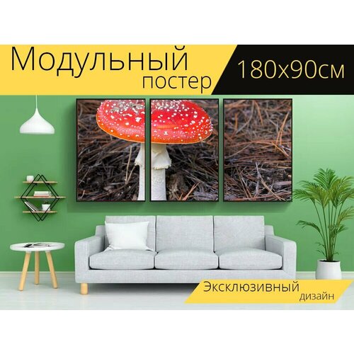 Модульный постер "Мухомор, мухомор красный, гриб" 180 x 90 см. для интерьера