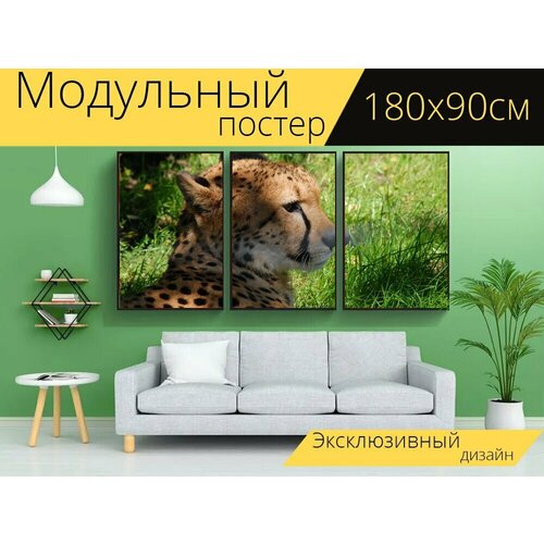 Модульный постер "Хищник, гепард, большой кот" 180 x 90 см. для интерьера