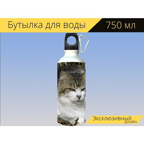 Бутылка фляга для воды "Кошка, пушистый, милый" 750 мл. с карабином и принтом
