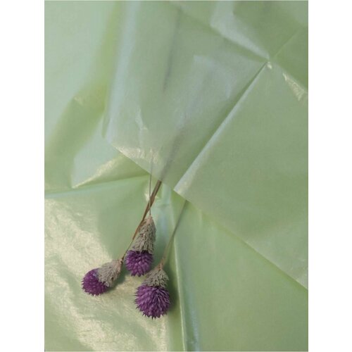 Бумага упаковочная тишью 50x66см (10 лист) жемчужный оливковый