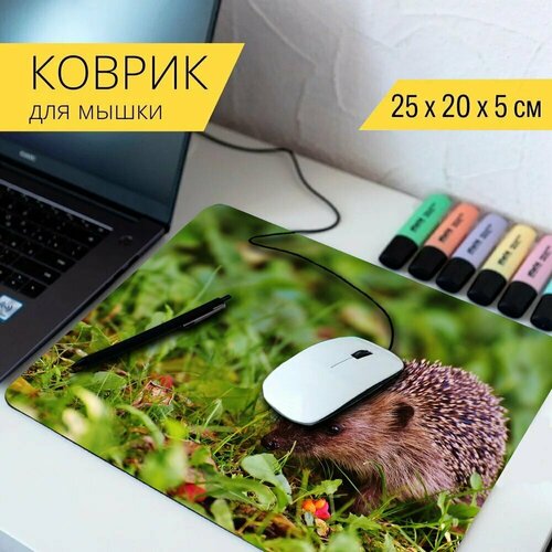 Коврик для мыши с принтом "Ежик, молодой ежик, животное" 25x20см.