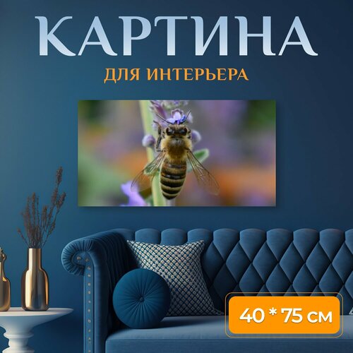 Картина на холсте "Пчела, насекомое, пчелы" на подрамнике 75х40 см. для интерьера