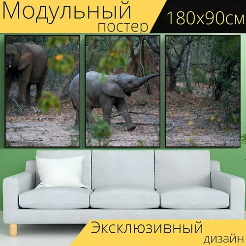 Модульный постер "Слон, животное, лес" 180 x 90 см. для интерьера