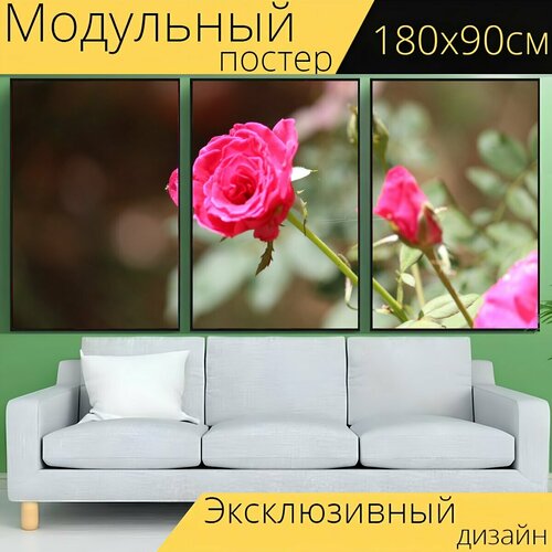 Модульный постер "Роза, цветок, завод" 180 x 90 см. для интерьера