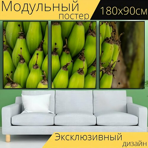 Модульный постер "Бананы, банановое дерево, фрукты" 180 x 90 см. для интерьера