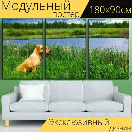 Модульный постер "Собака, охотник, домашний питомец" 180 x 90 см. для интерьера
