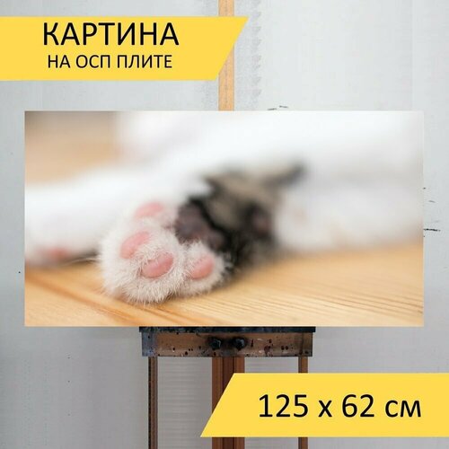 Картина на ОСП 125х62 см. "Лапа, котенок, кошка" горизонтальная, для интерьера, с креплениями