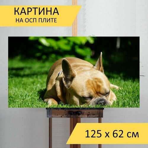 Картина на ОСП 125х62 см. "Французский бульдог, собака, спящий" горизонтальная, для интерьера, с креплениями