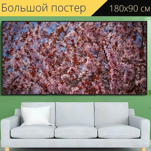 Большой постер "Цветение сливы, цветы, весна" 180 x 90 см. для интерьера