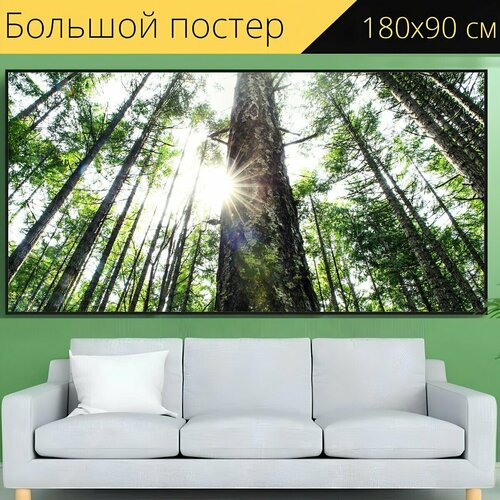 Большой постер "Лес, деревья, солнечная вспышка" 180 x 90 см. для интерьера