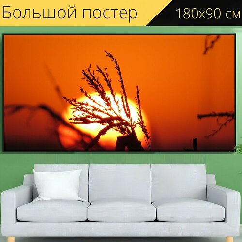 Большой постер "Кукуруза, солнце, закат" 180 x 90 см. для интерьера