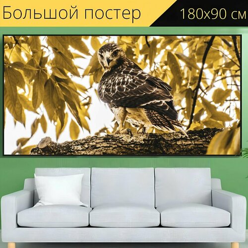 Большой постер "Охотник, ястреб, птица" 180 x 90 см. для интерьера
