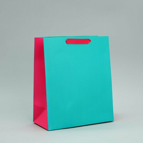 Дарите Счастье Пакет подарочный двухцветный «Розовый-голубой», ML 23 х 27 х 11.5 см