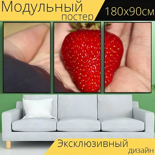 Модульный постер "Клубника, красный, фрукты" 180 x 90 см. для интерьера
