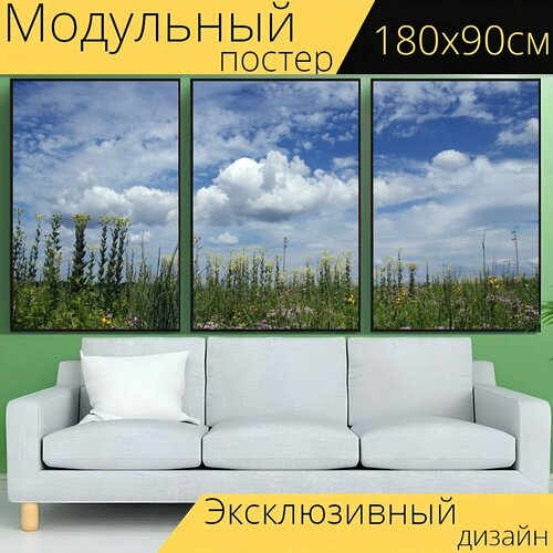 Модульный постер "Цветы, прерия, трава" 180 x 90 см. для интерьера