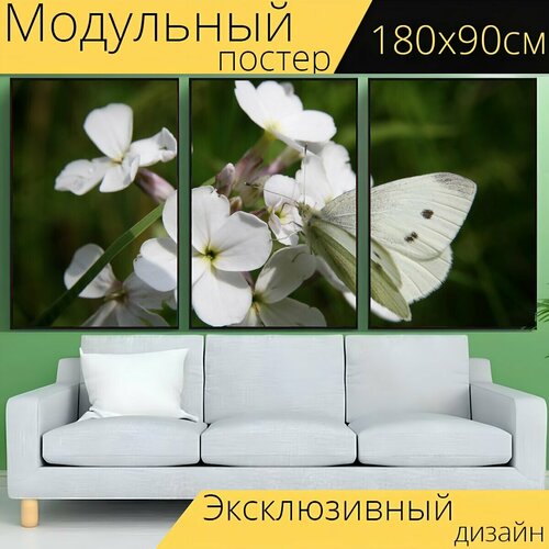 Модульный постер "Белый, насекомое, бабочка" 180 x 90 см. для интерьера