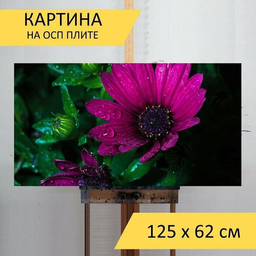 Картина на ОСП 125х62 см. "Фиолетовый цветок, лепестки, листья" горизонтальная, для интерьера, с креплениями