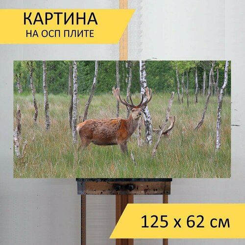 Картина на ОСП 125х62 см. "Олень, красный олень, рога" горизонтальная, для интерьера, с креплениями