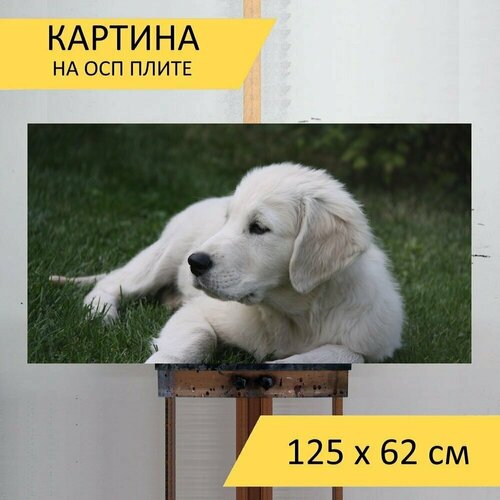 Картина на ОСП 125х62 см. "Щенок, собака, животные" горизонтальная, для интерьера, с креплениями