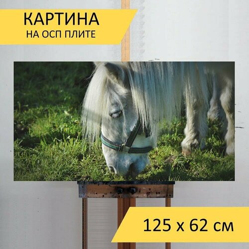 Картина на ОСП 125х62 см. "Лошадь, понни, лошадиная голова" горизонтальная, для интерьера, с креплениями