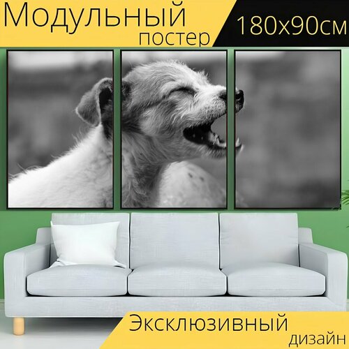 Модульный постер "Мои, собаки, то" 180 x 90 см. для интерьера