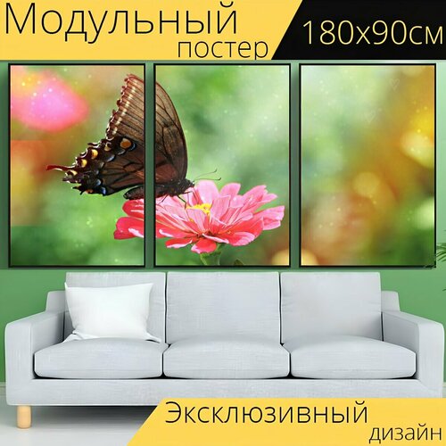 Модульный постер "Бабочка, цинния, природа" 180 x 90 см. для интерьера