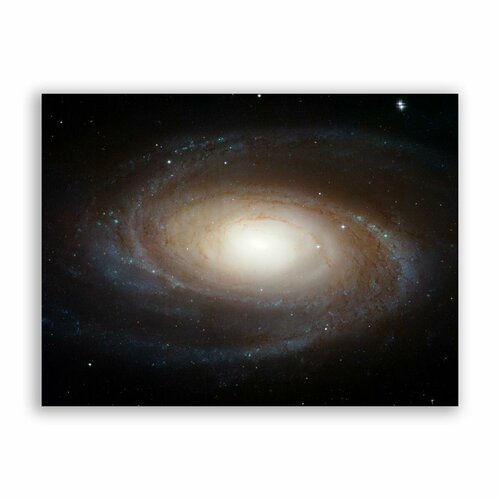 Постер, плакат на бумаге / Galaxy M 81 / Галактика / Размер 60 x 80 см