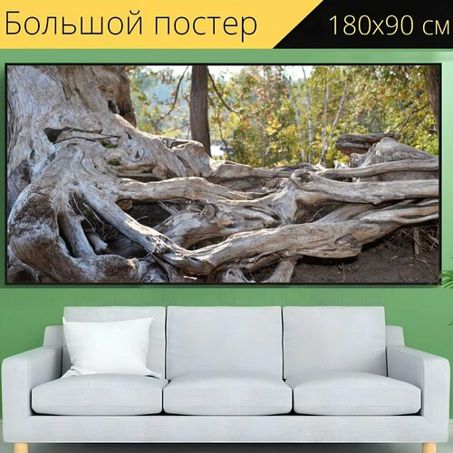 Большой постер "Природа, дерево, древесина" 180 x 90 см. для интерьера