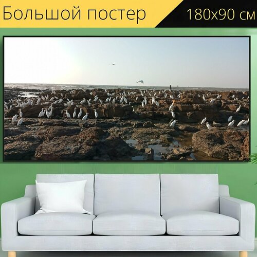 Большой постер "Птицы, перелетные птицы, птицы на пляже" 180 x 90 см. для интерьера