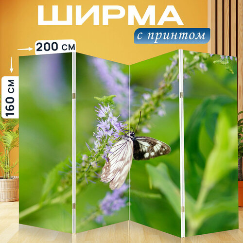 Ширма перегородка с принтом "Уайлдфлауэр, бабочка, разъединено" на холсте - 200x160 см. для зонирования, раскладная