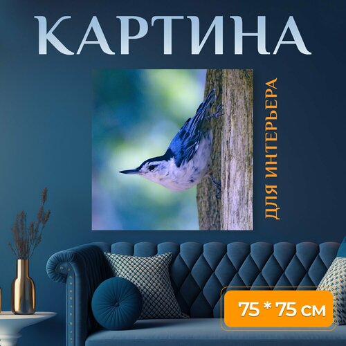 Картина на холсте "Поползень, птица, птица на дереве" на подрамнике 75х75 см. для интерьера