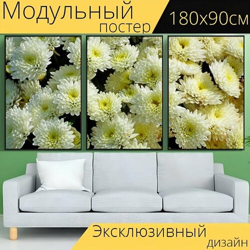 Модульный постер "Хризантемы, цветы, растения" 180 x 90 см. для интерьера