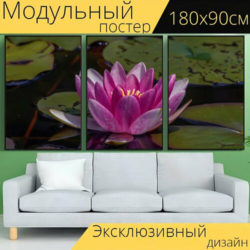 Модульный постер "Водяная лилия, водное растение, цветок в воде" 180 x 90 см. для интерьера