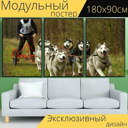 Модульный постер "Хаски, ездовые собаки, адамчак" 180 x 90 см. для интерьера