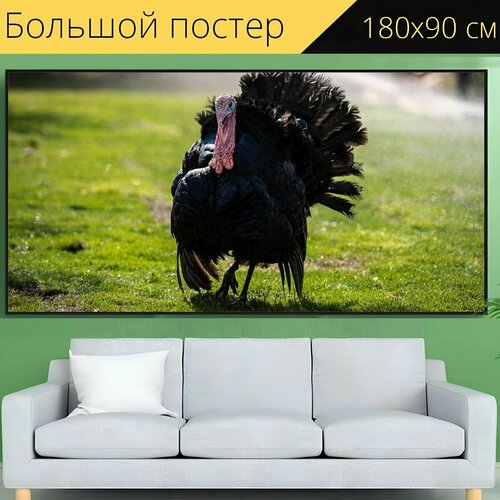 Большой постер "Турция, петух, ферма" 180 x 90 см. для интерьера