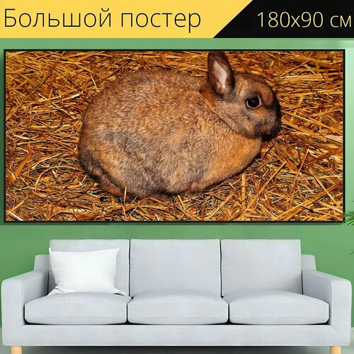 Большой постер "Кролик, сарай, солома" 180 x 90 см. для интерьера